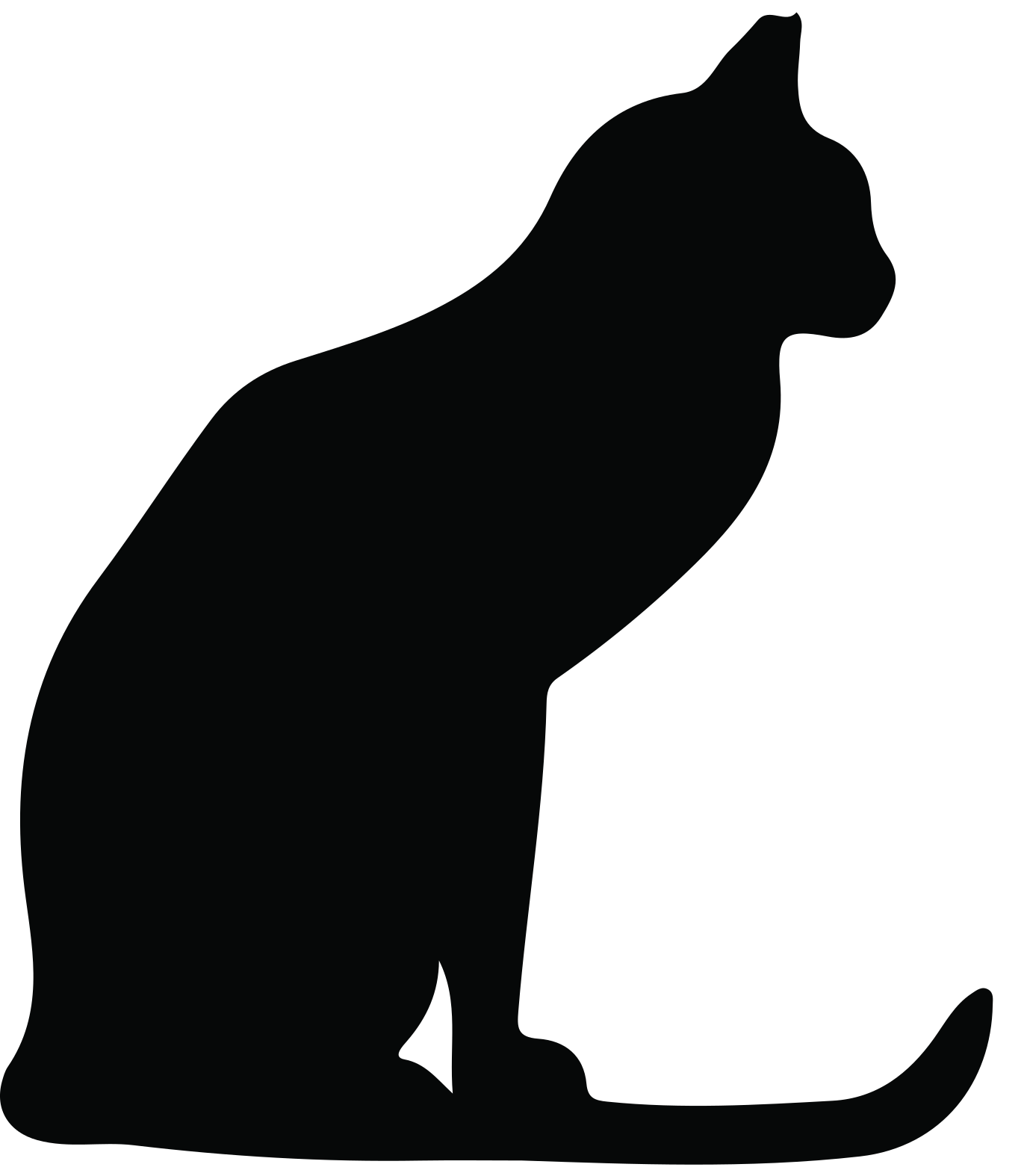 Humane Animal Trapping and Removal Company | All City Animal Trapping